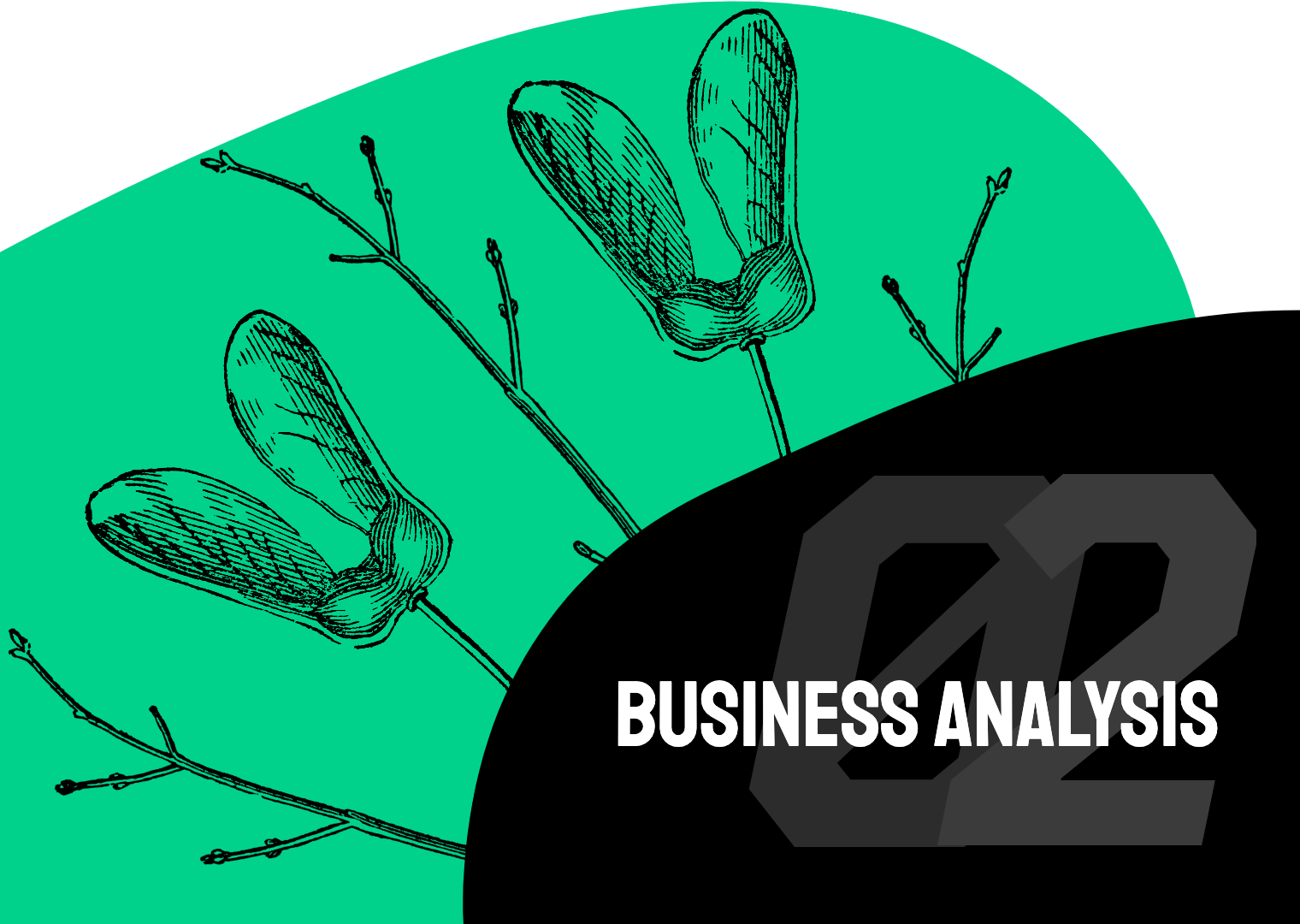 we-re-taking-a-closer-look-at-how-business-analysis-works-and-the-ways
