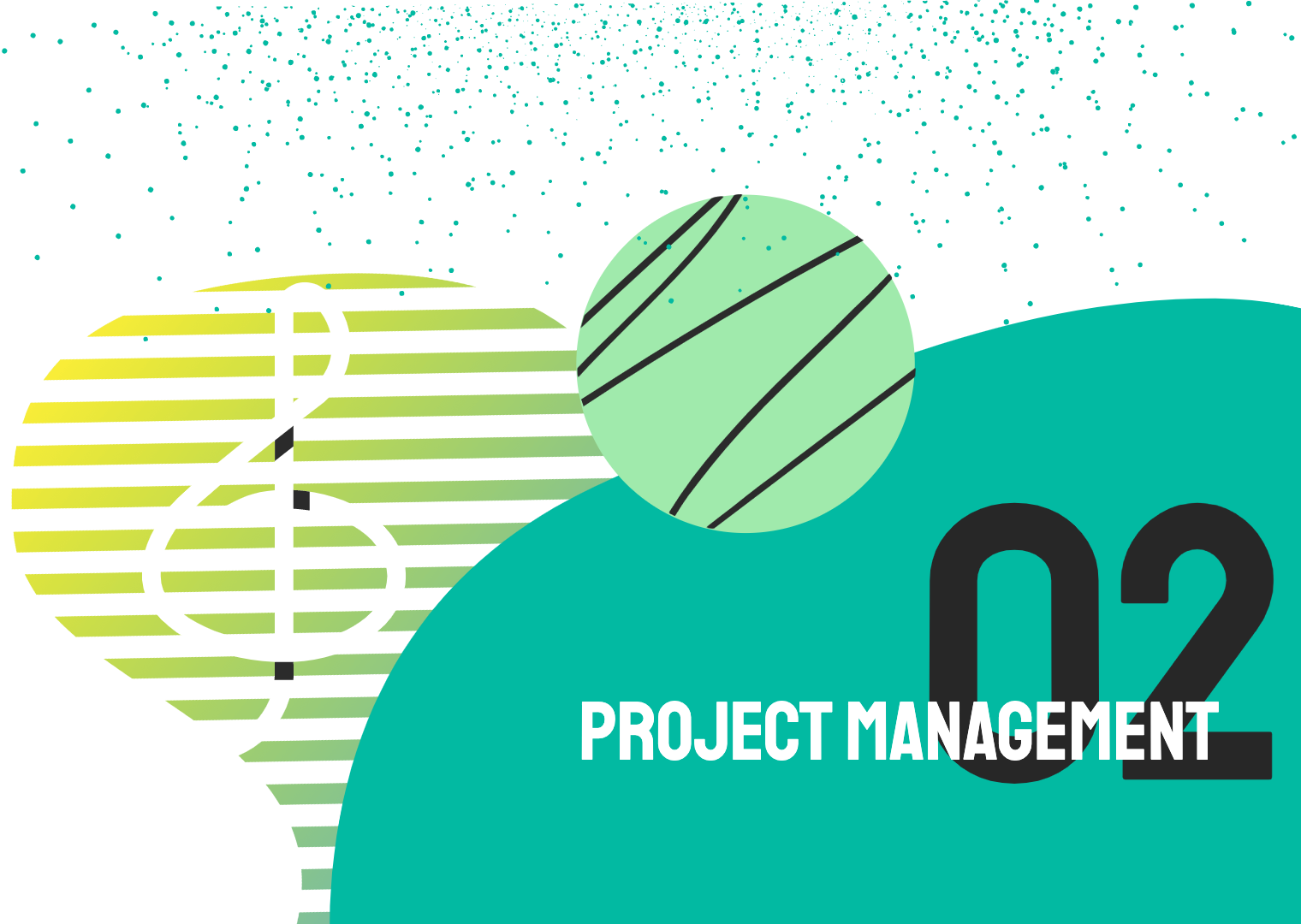 Role of Project Manager in Software Development – DO OK.